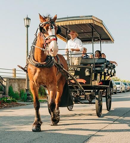 Historic Charleston Carriage Tours & Rides | Old South Carriage
