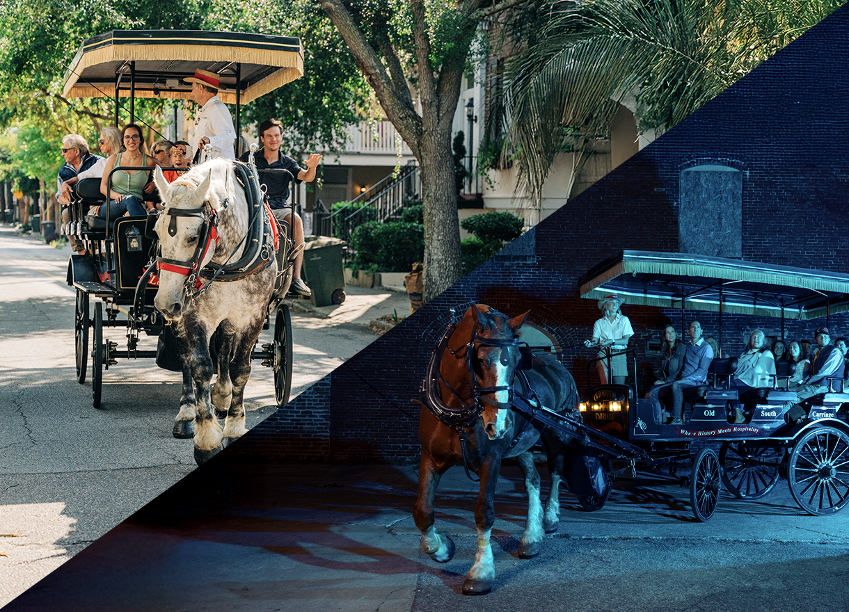 Historic Charleston Carriage & Haunted Carriage Tour Combo