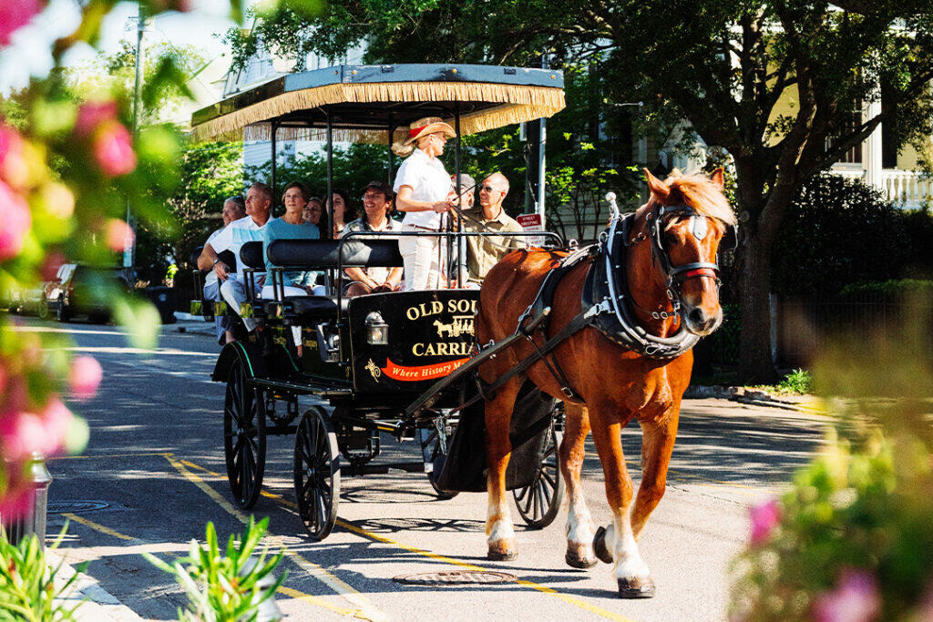 Historic Charleston Carriage Tours & Rides | Old South Carriage